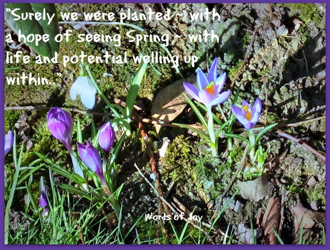 A prayer for those who are in waiting – Words of Joy